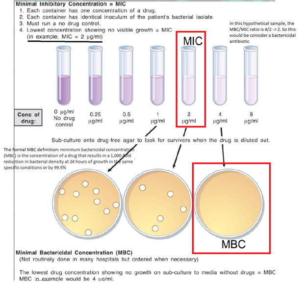 Bacteriostatic vs Bactericidal – Dr. Germophile