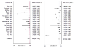 Microbiological Diagnosis of PJP – PCR and Beta D glucan – Dr. Germophile