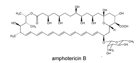 Types of Amphotericin B – What I Didn’t Know – Dr. Germophile