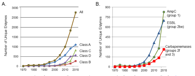 A Crash Course of Beta-Lactamases and Beta-Lactamase Inhibitors – Dr ...