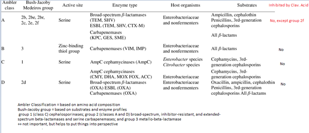 A Crash Course of Beta-Lactamases and Beta-Lactamase Inhibitors – Dr ...