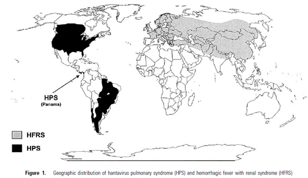 The “Other” Hemorrhagic Fever – Hantavirus – Dr. Germophile