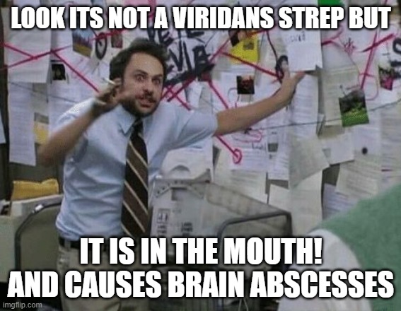 Infections associated with Strep Milleri Group – Pus Galore – Dr ...