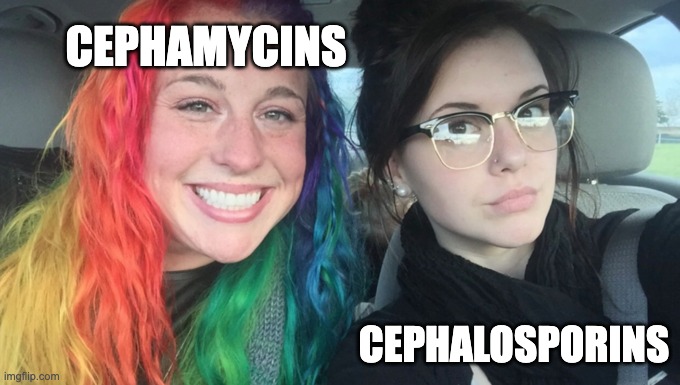Cephamycins: The Odd Sibling of the Cephalosporin Family – Dr. Germophile