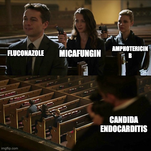 Antifungals for Candida Infective Endocarditis – Where is the Data ...